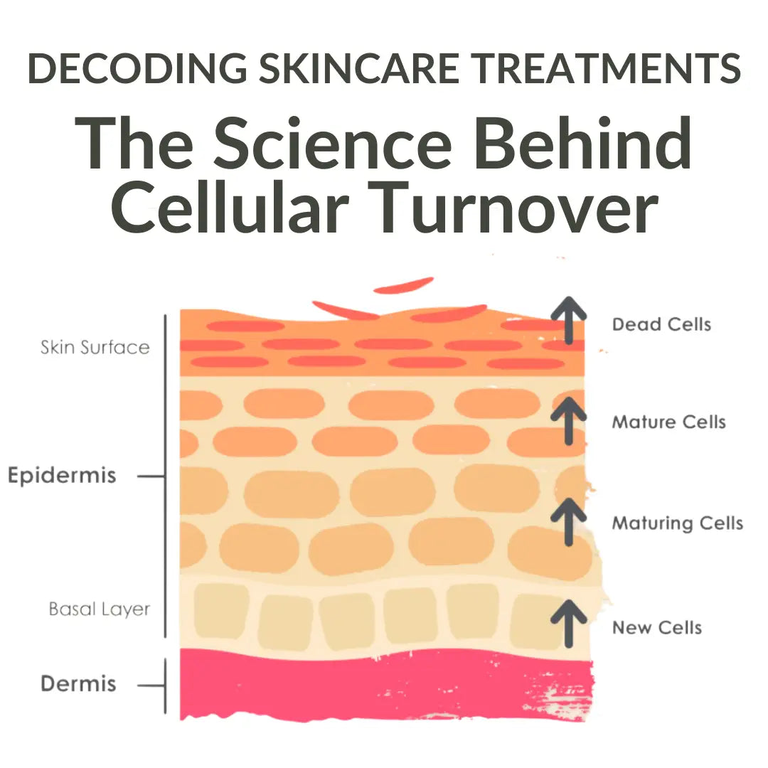 Unveiling Skincare Secrets: Decoding Cellular Turnover Science